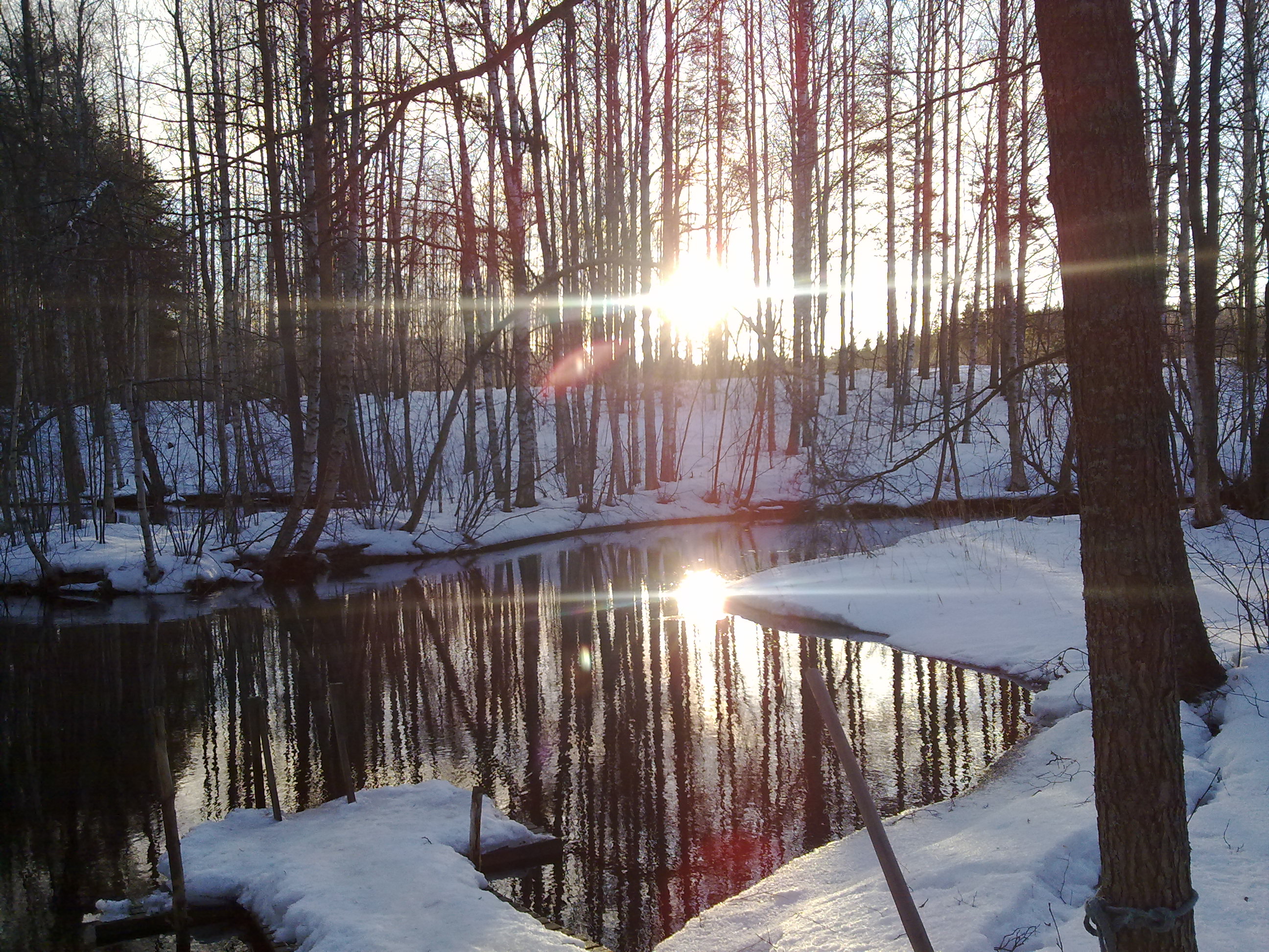 More Deer Mother and Mother Sun on this Winter Solstice – Christiana ...